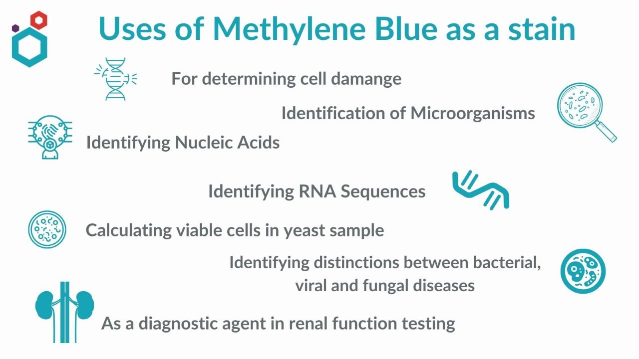 Methylene Blue as a Stain | What is it used for with Example – Macsen Labs