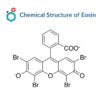 Eosin | Properties, Available variants & Uses