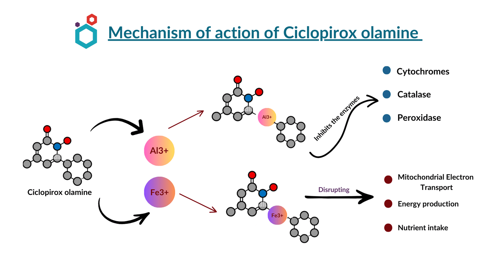 Ciclopirox olamine | Properties, Mechanism of action & Uses