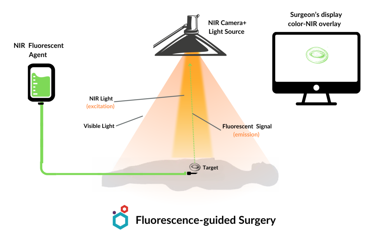 NIR dyes in Bioimaging: A Comprehensive Research