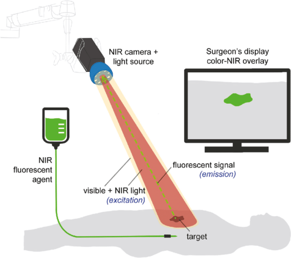 NIR dyes for Bioimaging Applications: A Comprehensive Research
